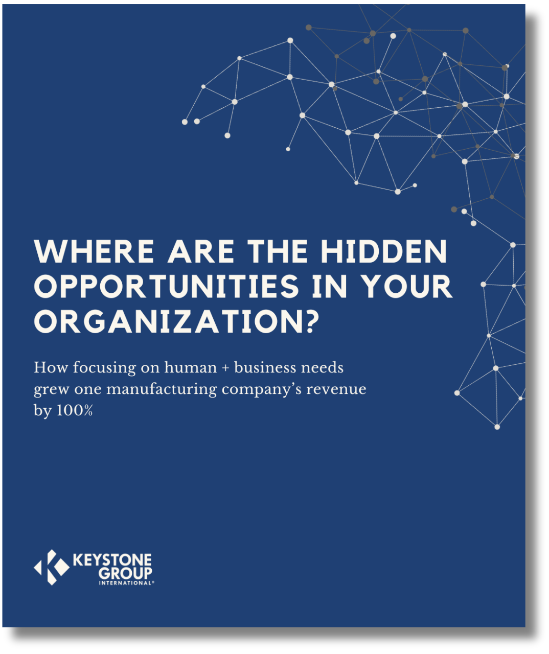 Lakeview Industries Case Study